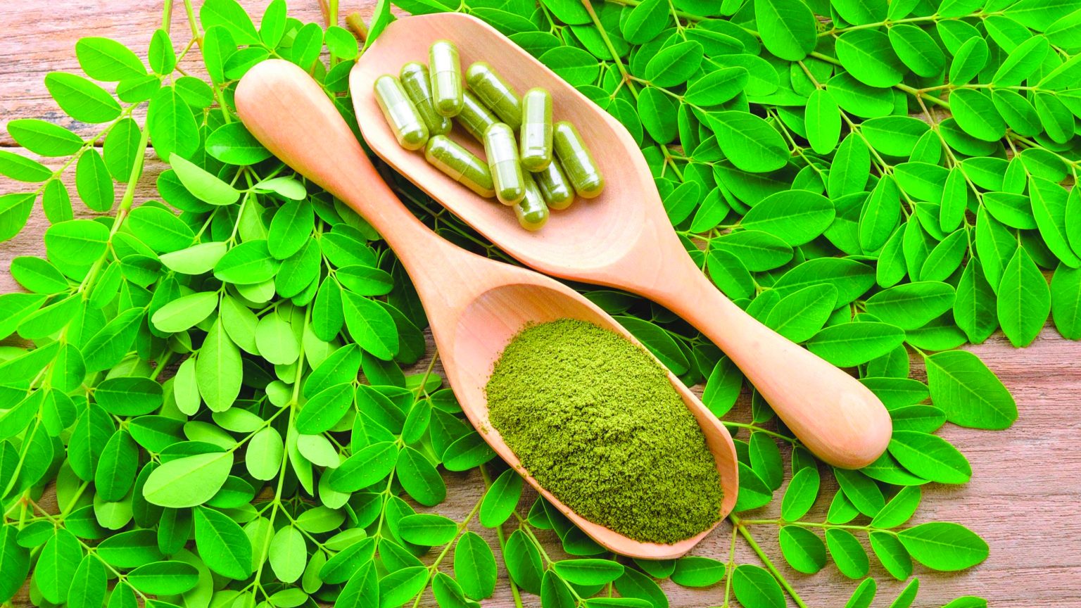 Les bienfaits impressionnants du Moringa : Une plante aux multiples ...